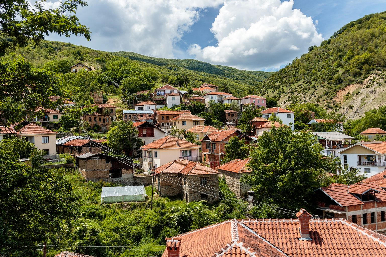 114 Years from the Death of Macedonian Revolutionary Dame Gruev ...