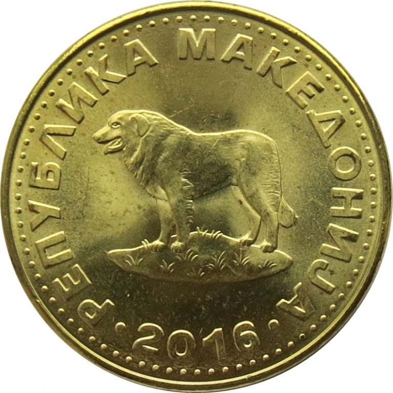 Sharplaninec - The courageous sheepdog from Macedonia - Macedonia Times